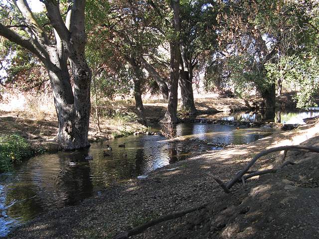 Penitencia Creek Trail