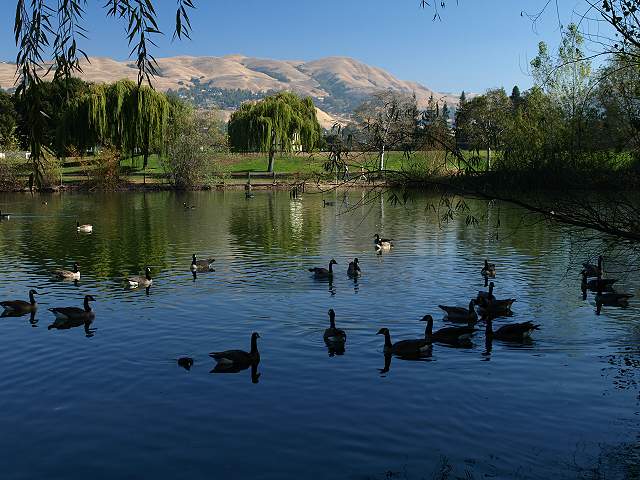 Penitencia Creek Trail